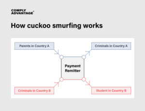 9 Common Examples of Money Laundering Schemes